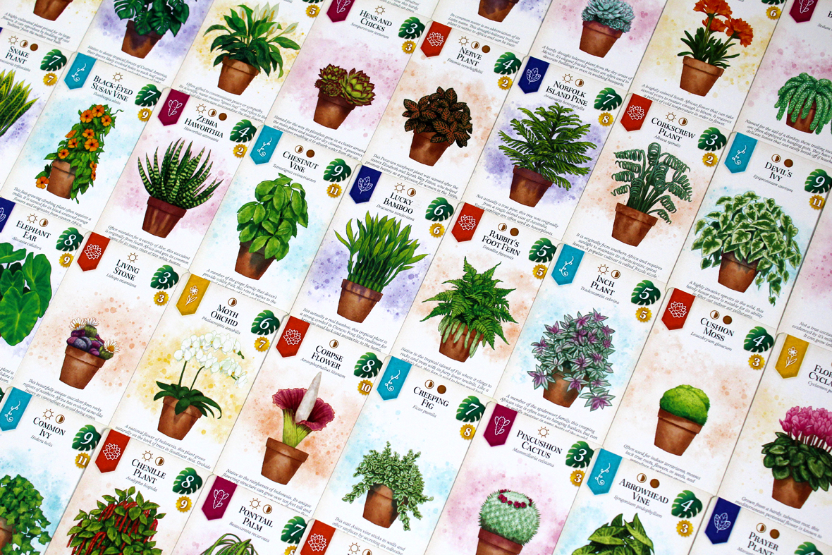 plant-cards-1 – What's Eric Playing?