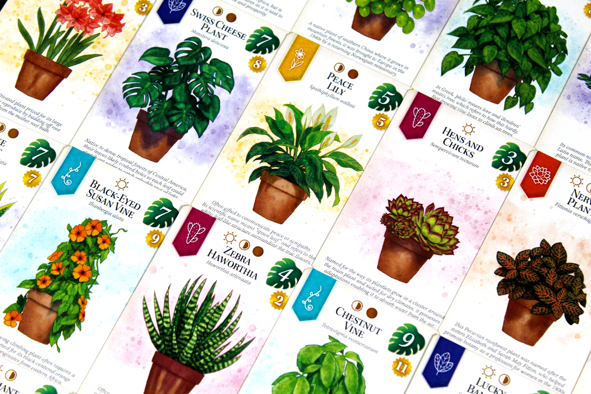 plant-cards-2 – What's Eric Playing?