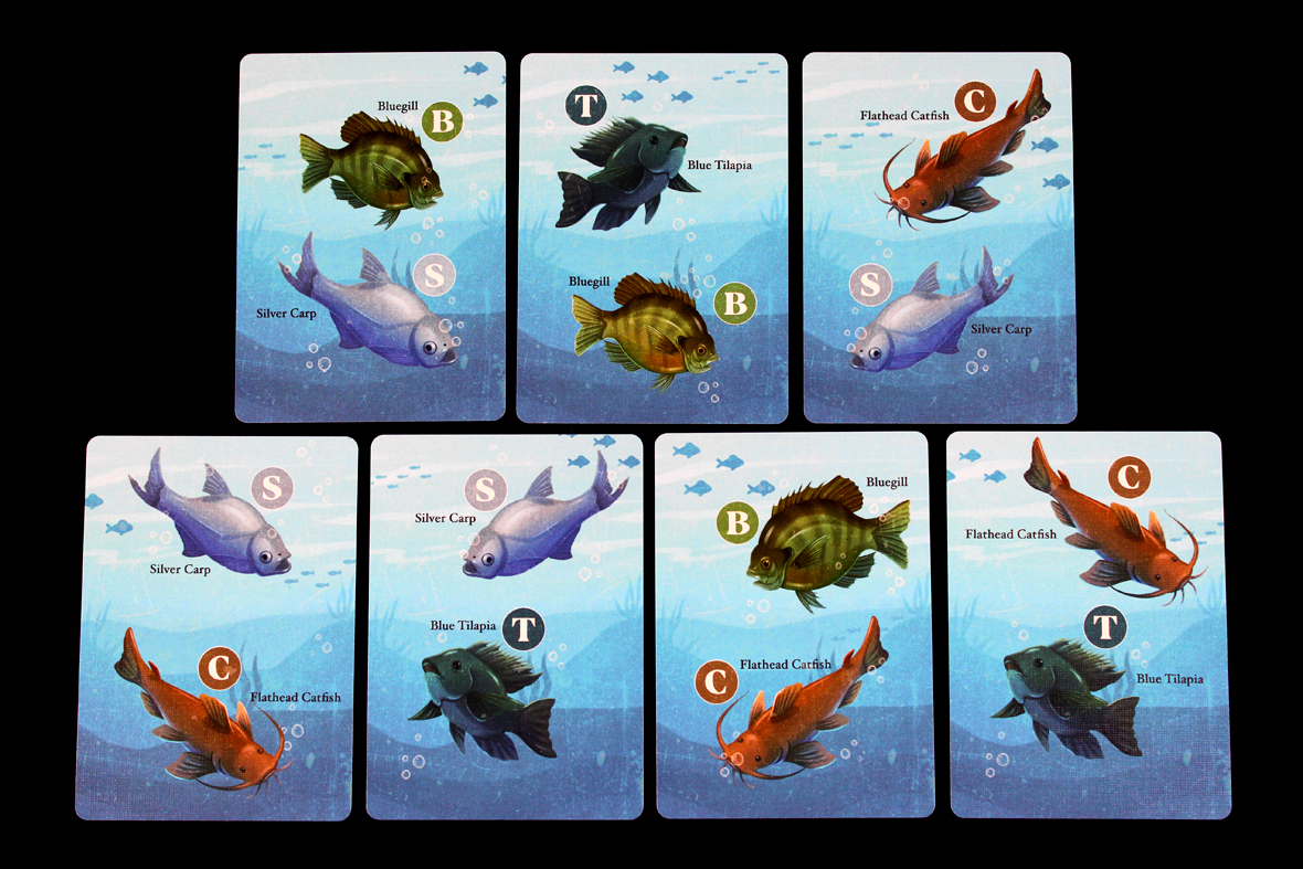 Fishing Lessons – What's Eric Playing?